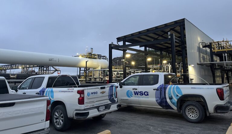 Netherlands - WSG Energy Services